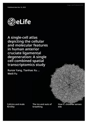 骨科付维力教授团队在eLife发文 揭示前叉韧带退变相关细胞和分子特征-猎才医药网